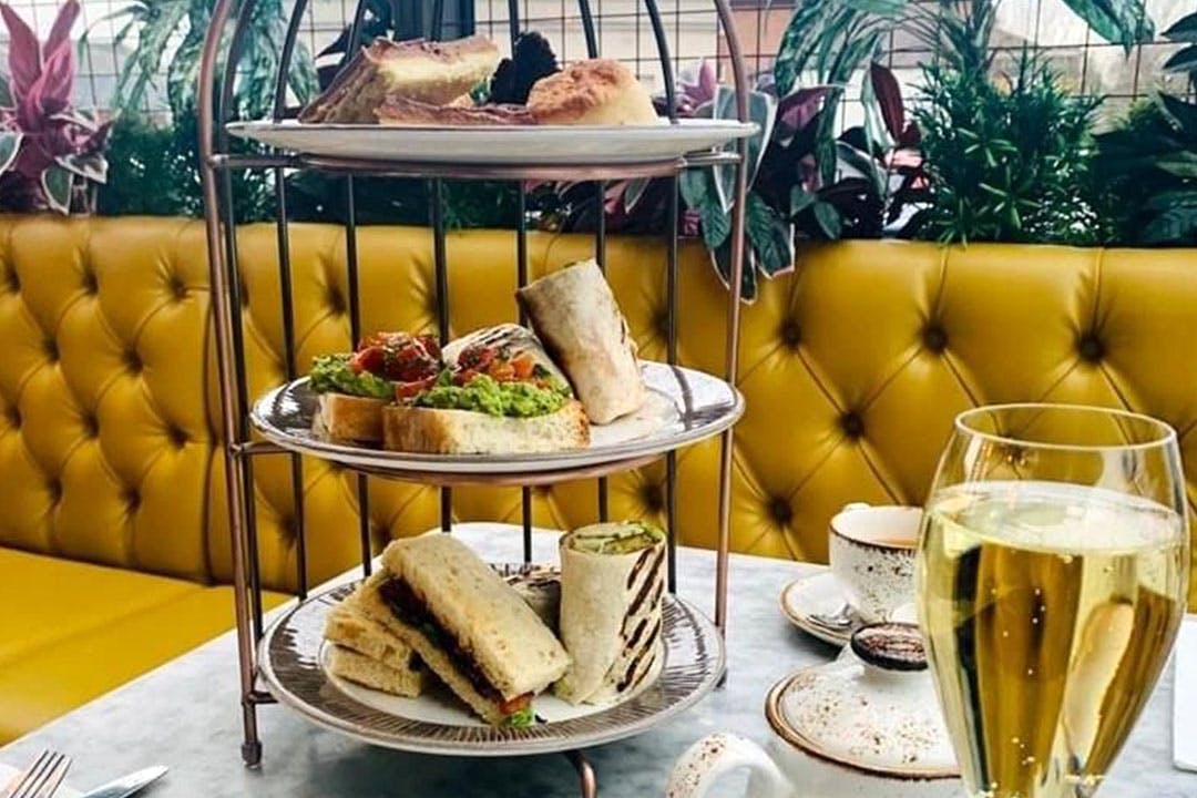 Mr MacGregor's – itison