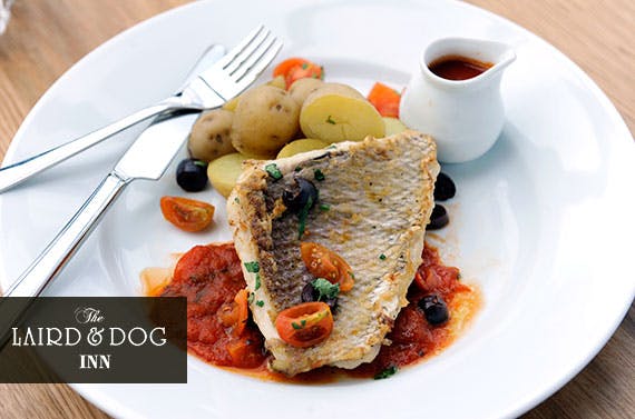 Laird & Dog Inn pub dining, Lasswade – itison