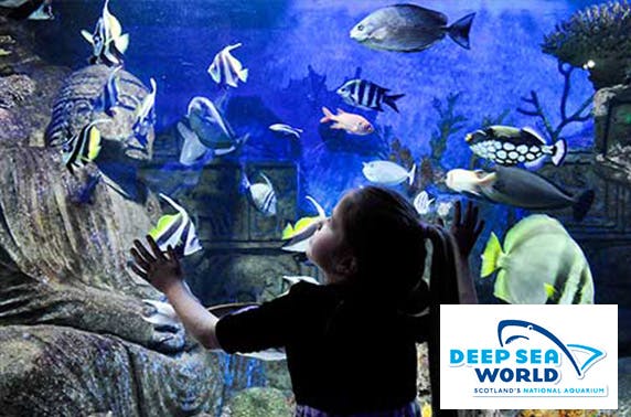 Deep Sea World – itison