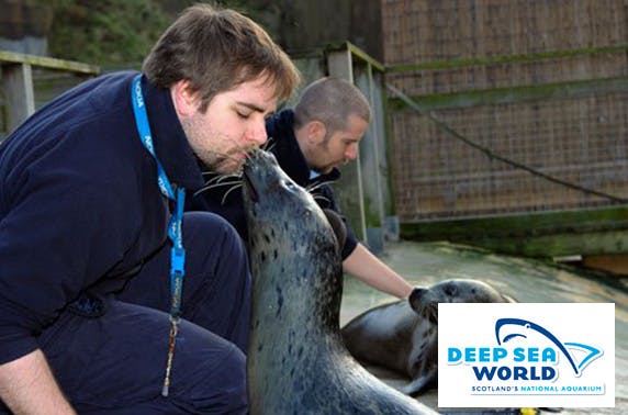 Deep Sea World – itison