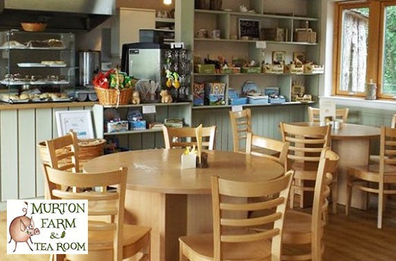 Murton Farm Tea Room lunch or afternoon tea – itison
