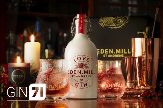 7 courses & cocktails, Gin 71 – itison