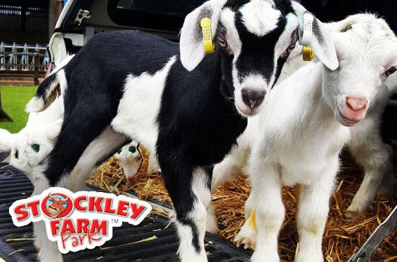 Stockley Farm Park – itison