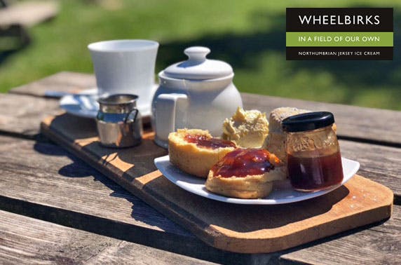 Wheelbirks Farm afternoon dining – itison