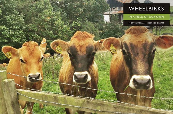 Wheelbirks Farm – itison