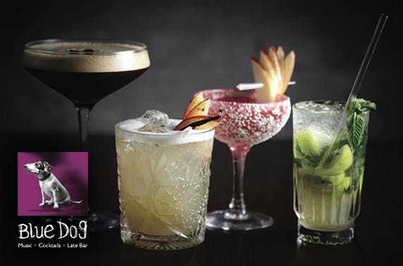 Blue Dog cocktails and nibbles – itison