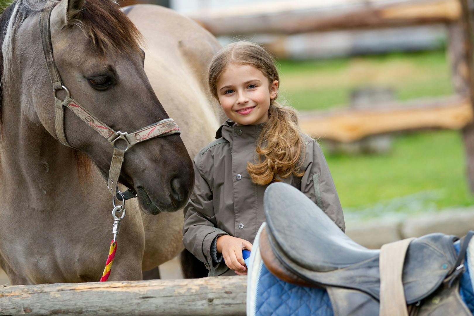 Smithstone Equestrian Centre – itison
