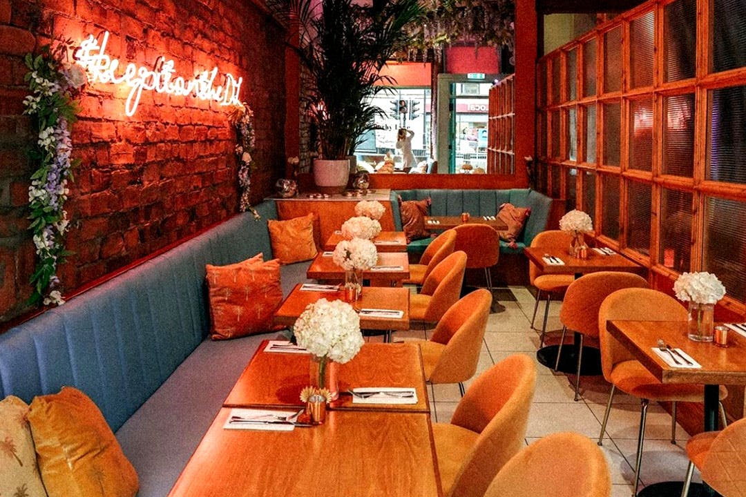 Derby Lane – itison