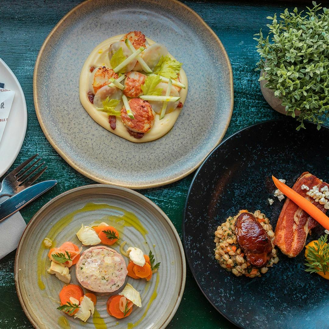 The Loveable Rogue – itison