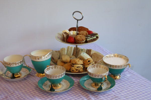 Fly Cup Enterprises – itison