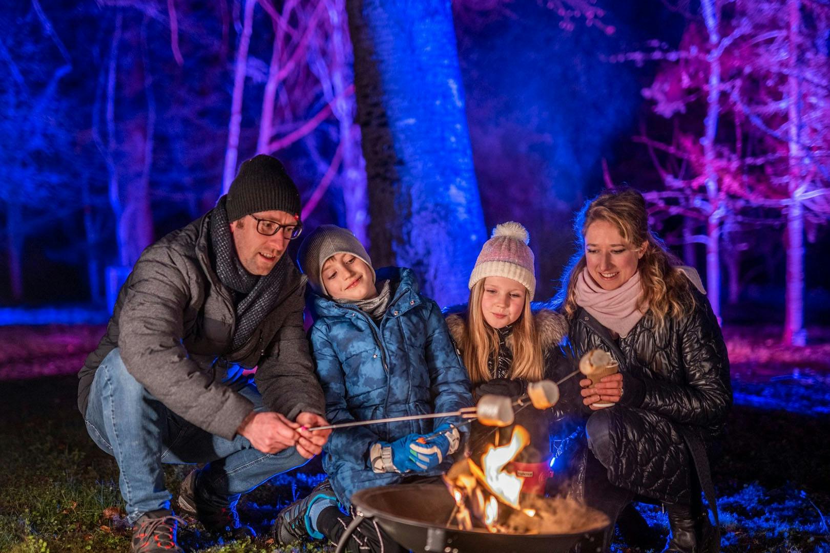 Monteviot Lights – itison