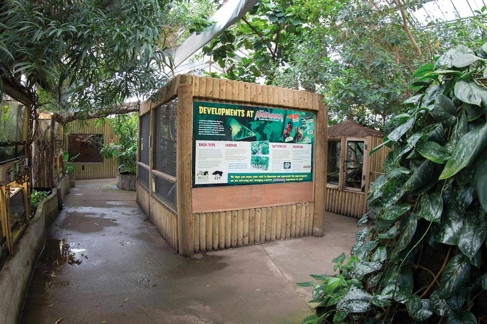 Amazonia at M&Ds – itison