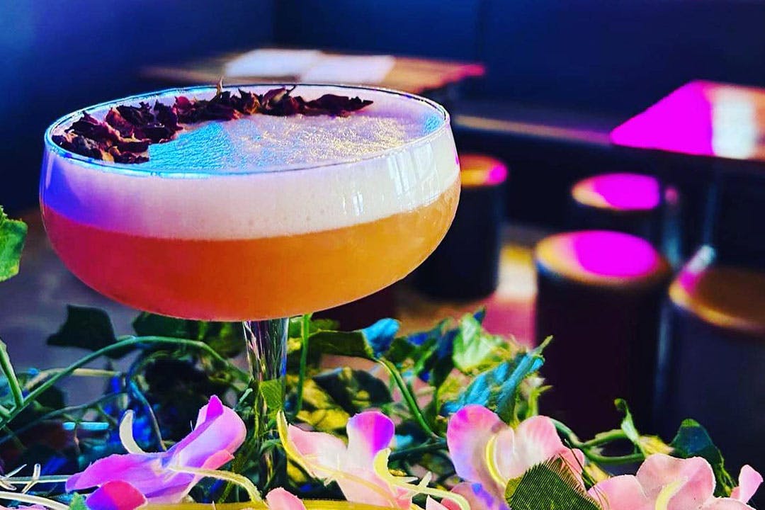 Pilgrim Bar – itison