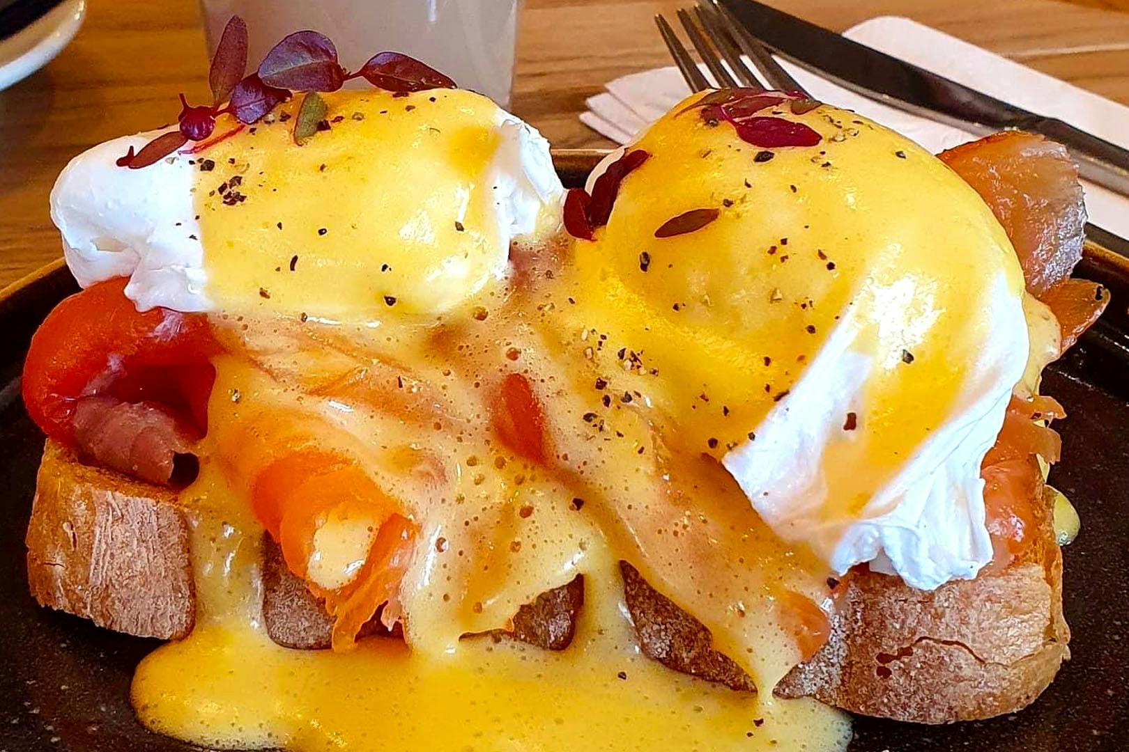 Mr MacGregor's – itison