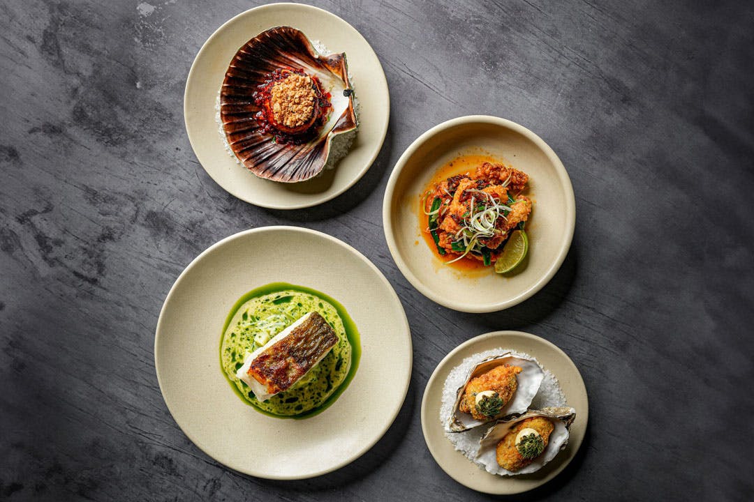 Sole Club – itison