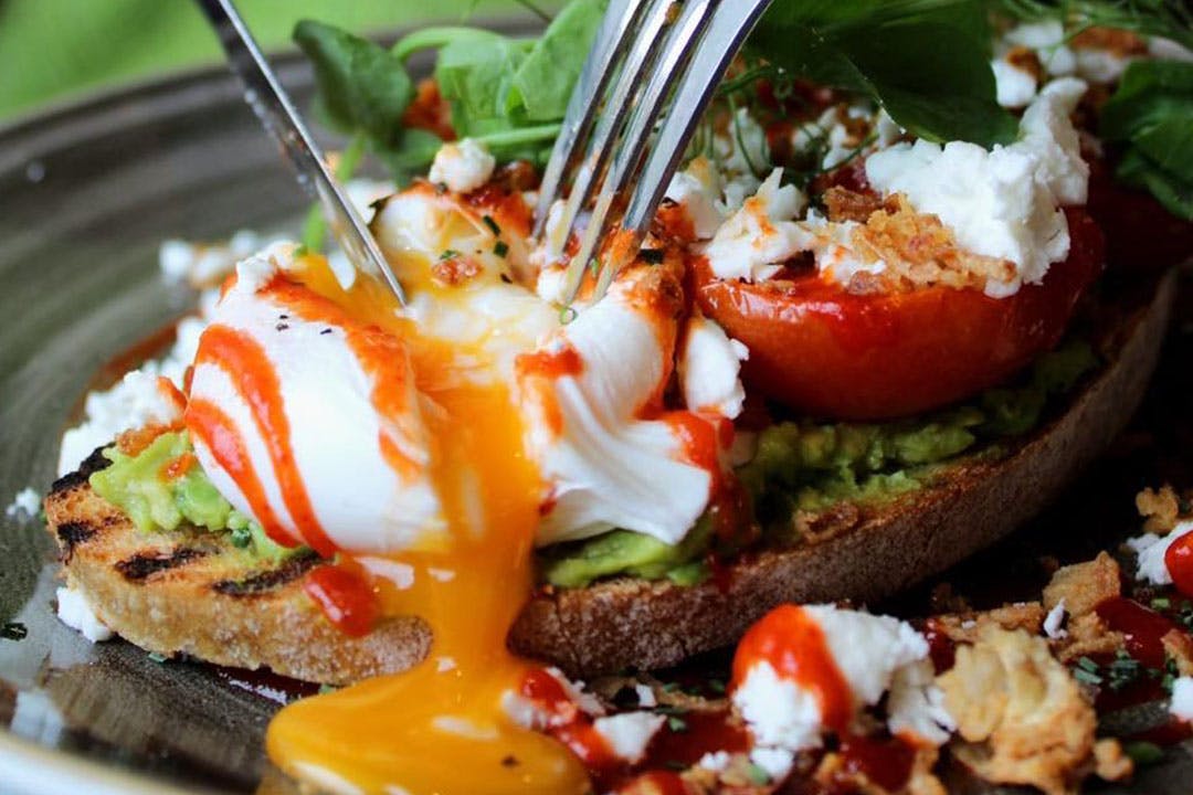 Mr MacGregor's – itison