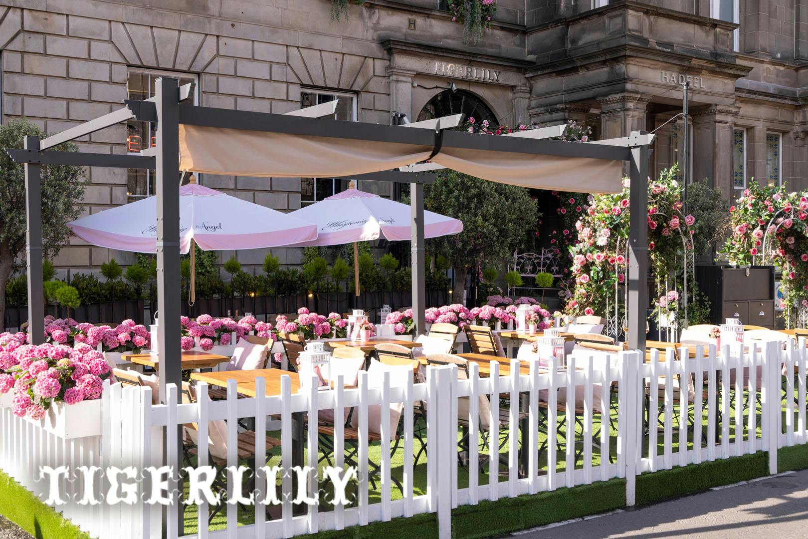 Rabble, Indigo Yard and more – itison