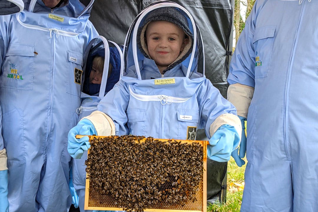 The Bee School – itison