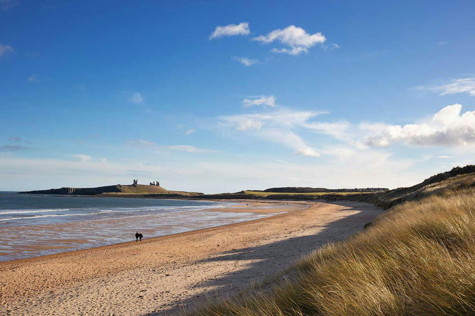 The Joiners Arms – itison