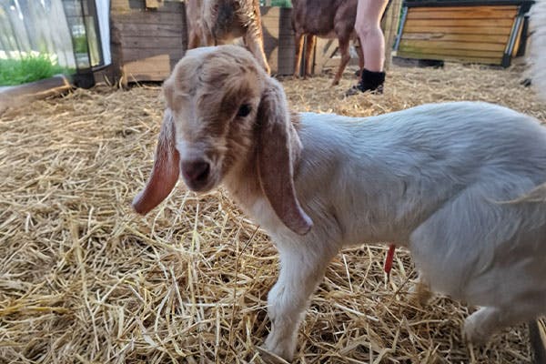 The best deals in Dundee & Tayside today – itison