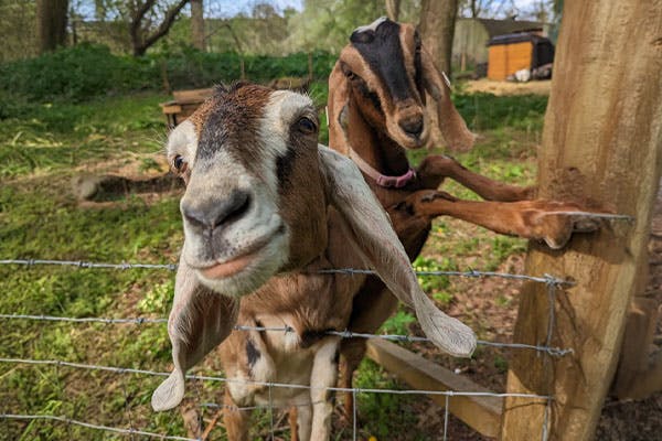 The best deals in Dundee & Tayside today – itison